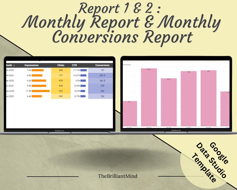 Google Ads Google Data Studio Report Template, Monthly Reports, Small ...