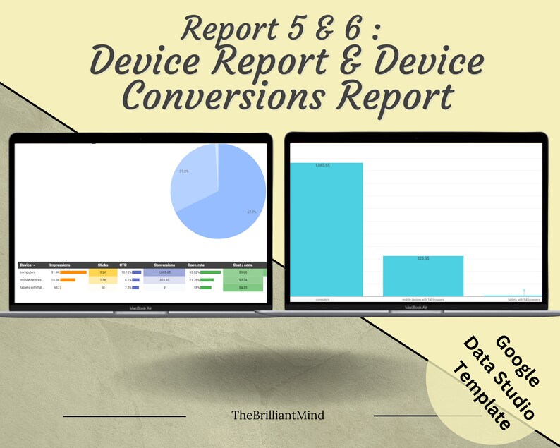 Google Ads Google Data Studio Report Template, Monthly Reports, Small ...