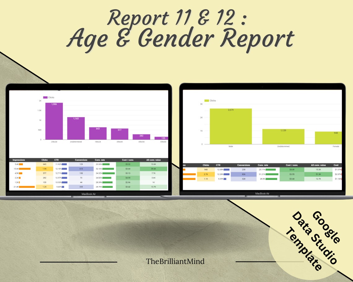 Google Ads Google Data Studio Report Template, Monthly Reports, Small ...