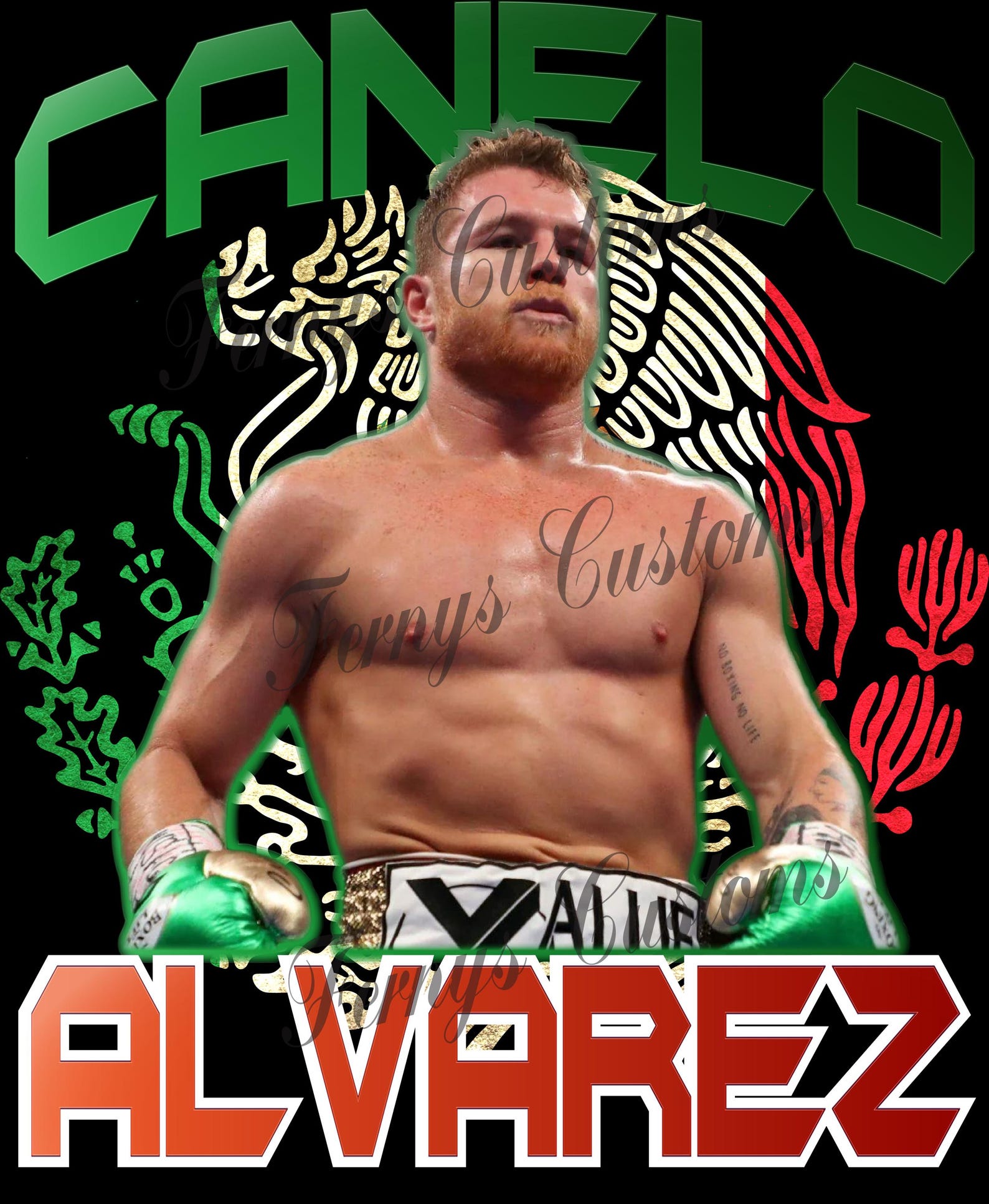 Canelo Alvarez, Canelo Mexican Flag, Canelo Alvarez Mexicano, PNG ...