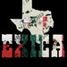 Texican, Distressed Flag Texican Logo, Mexico and Texas , PNG File ...