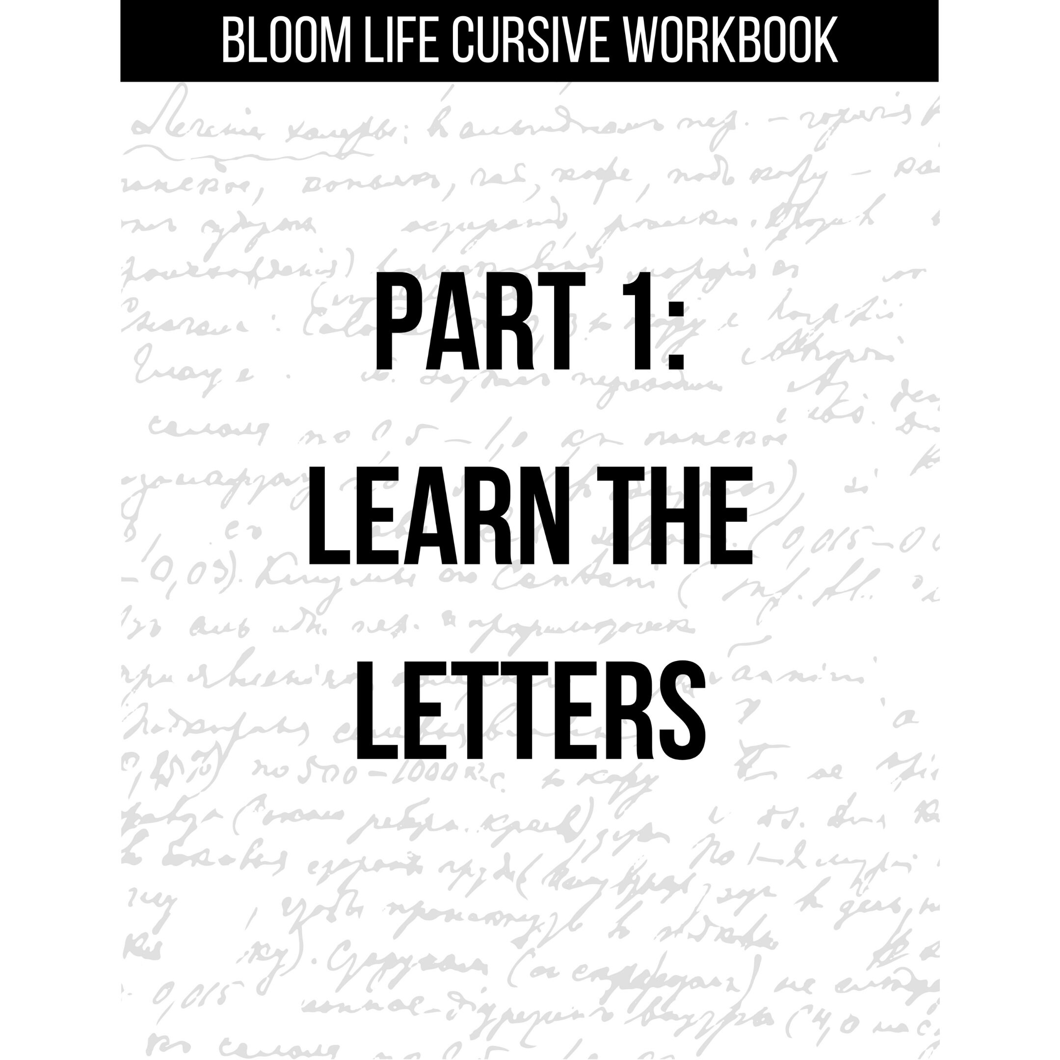 90+ Page Comprehensive Cursive Writing Workbook Printable | Fun Cursive ...