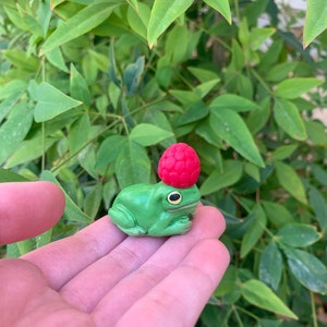 Handmade Clay Frog With Raspberry Hat | Fairycore Aesthetic Clay Frog ...