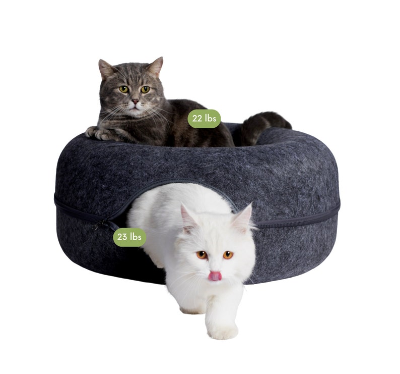CATTASAURUS Peekaboo Cat Cave dark Gray, Cat Donut, Cat Cave, Cat ...