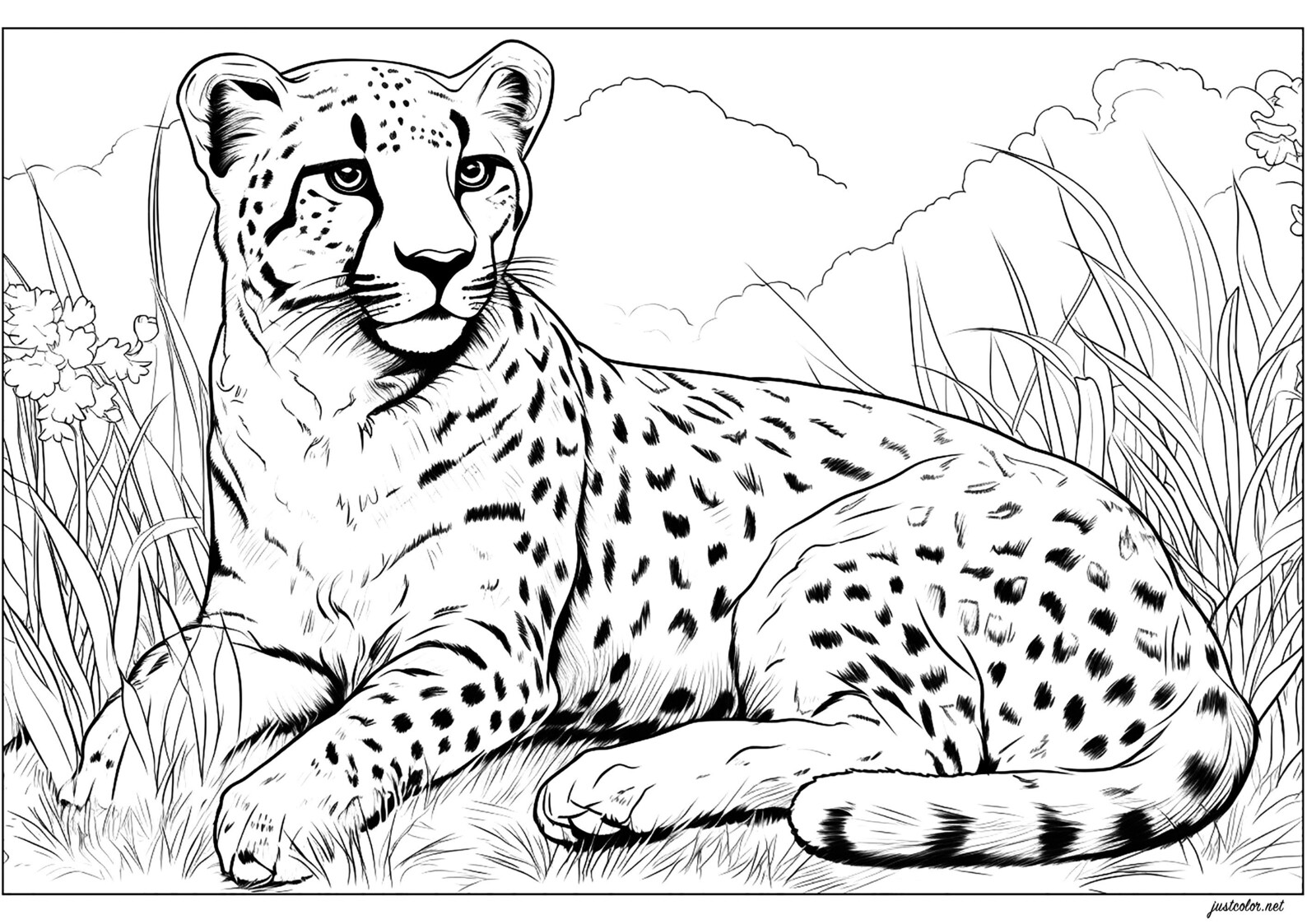 Wild Animals Coloring Pages - Printable PDF for Kids and Adults | 10 ...