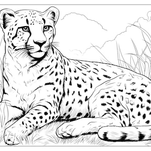 Wild Animals Coloring Pages - Printable PDF for Kids and Adults | 10 ...