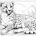 Wild Animals Coloring Pages Printable PDF for Kids and Adults 10 Unique ...