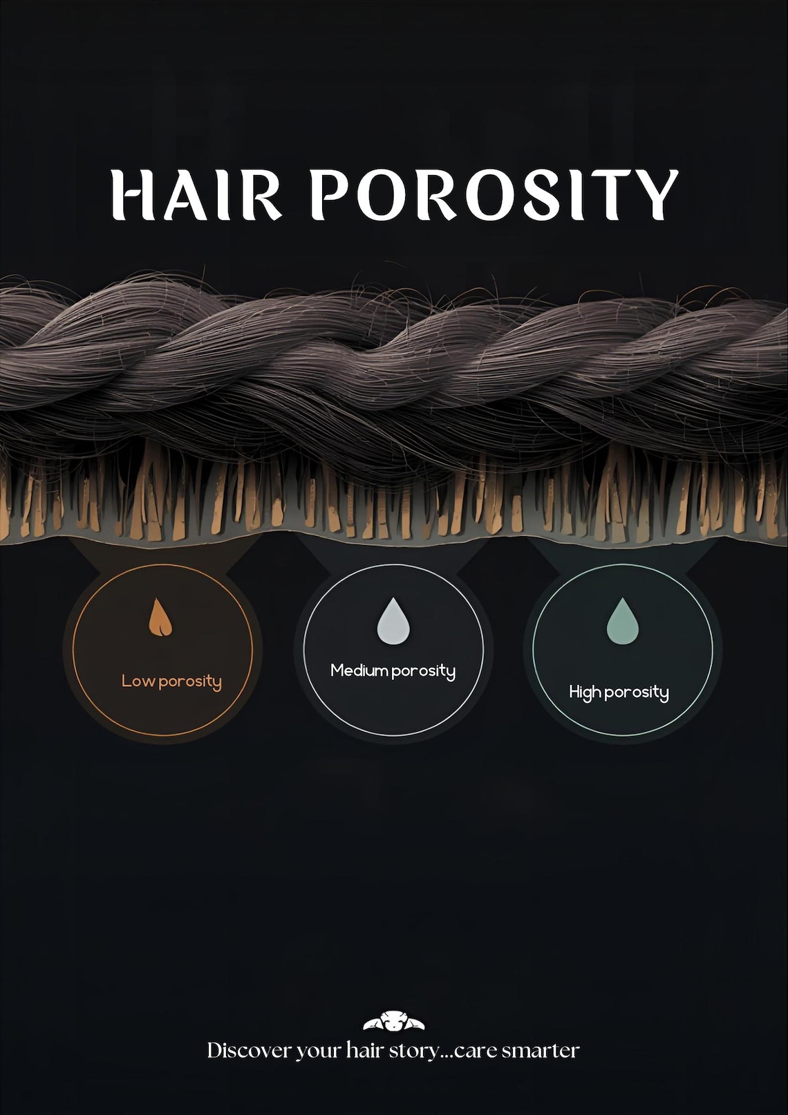Hair Porosity Guide – Printable Educational Hair Care Chart | Natural ...