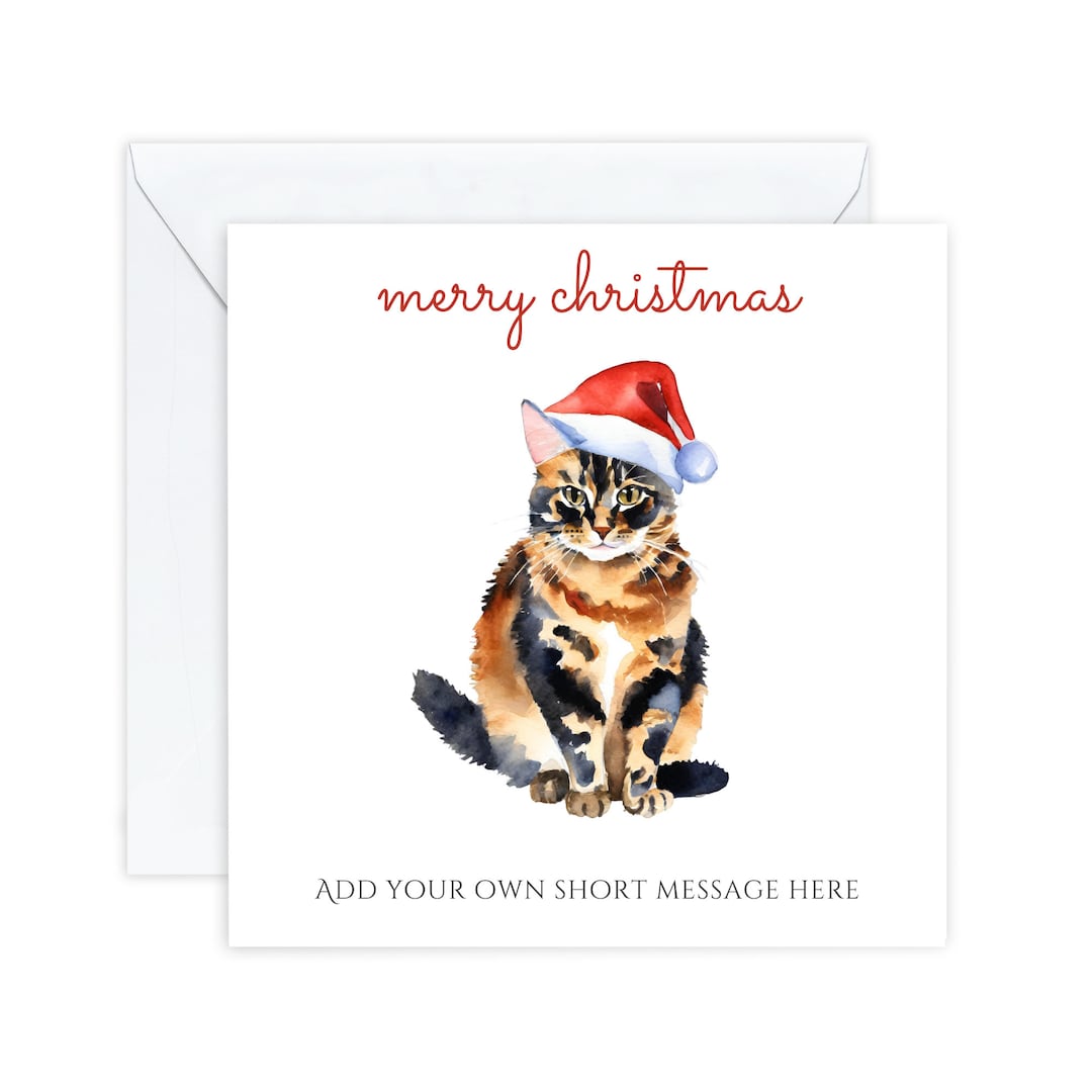 Personalised Christmas Cards, Tortie Cat Christmas Cards, for Friends ...