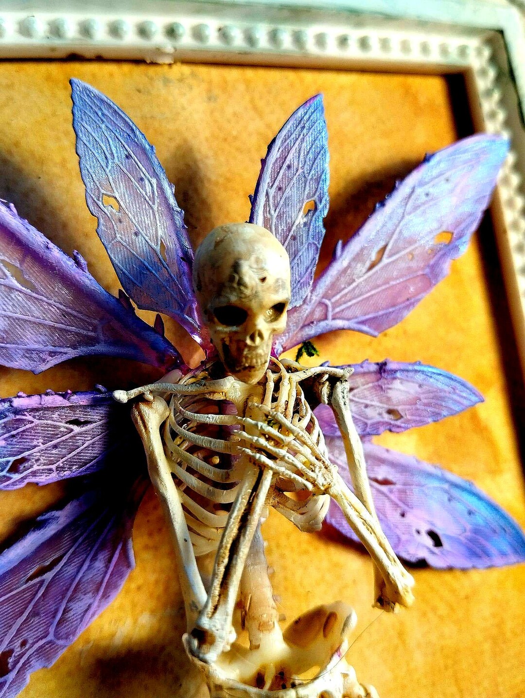 Fairy Skeleton in a Bell in a Frame, Cabinet of Curiosities - Etsy