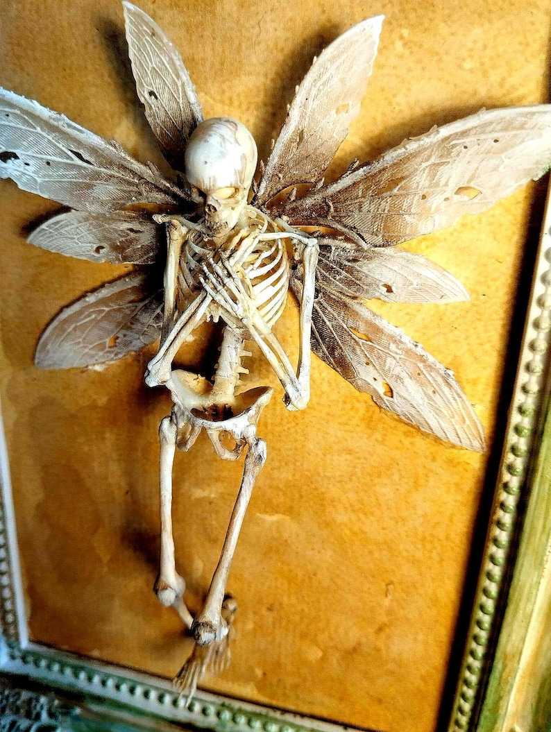 Skeleton Fairy in Glass Dome – OOAK Dark Fantasy Miniature – Gothic ...