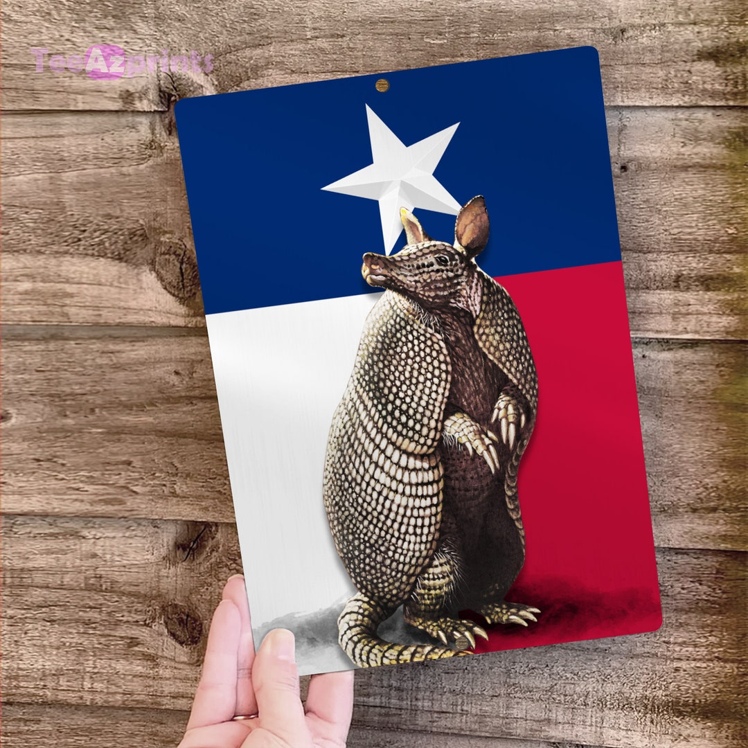 Texas Flag Metal Sign Metal Sign Home Decor Texian Texas - Etsy