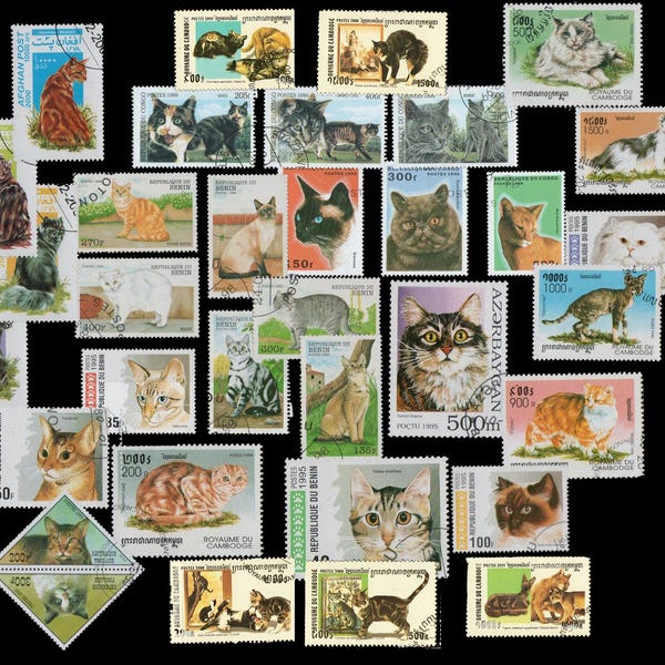 Cat Digital Stamp - Etsy