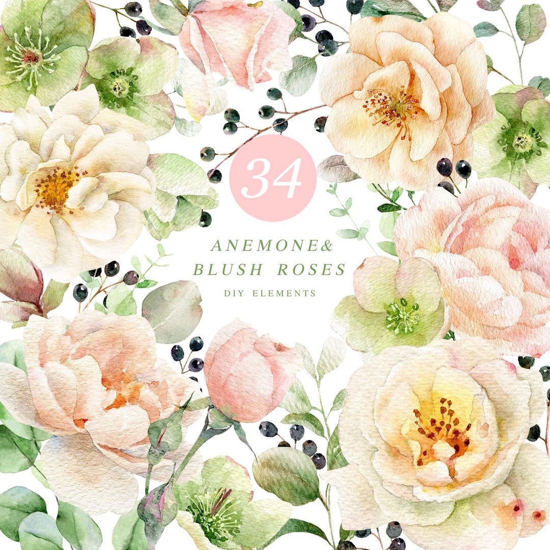 Blush Roses Watercolor Clipart, Blush Pink Flower Watercolour Clip Art ...