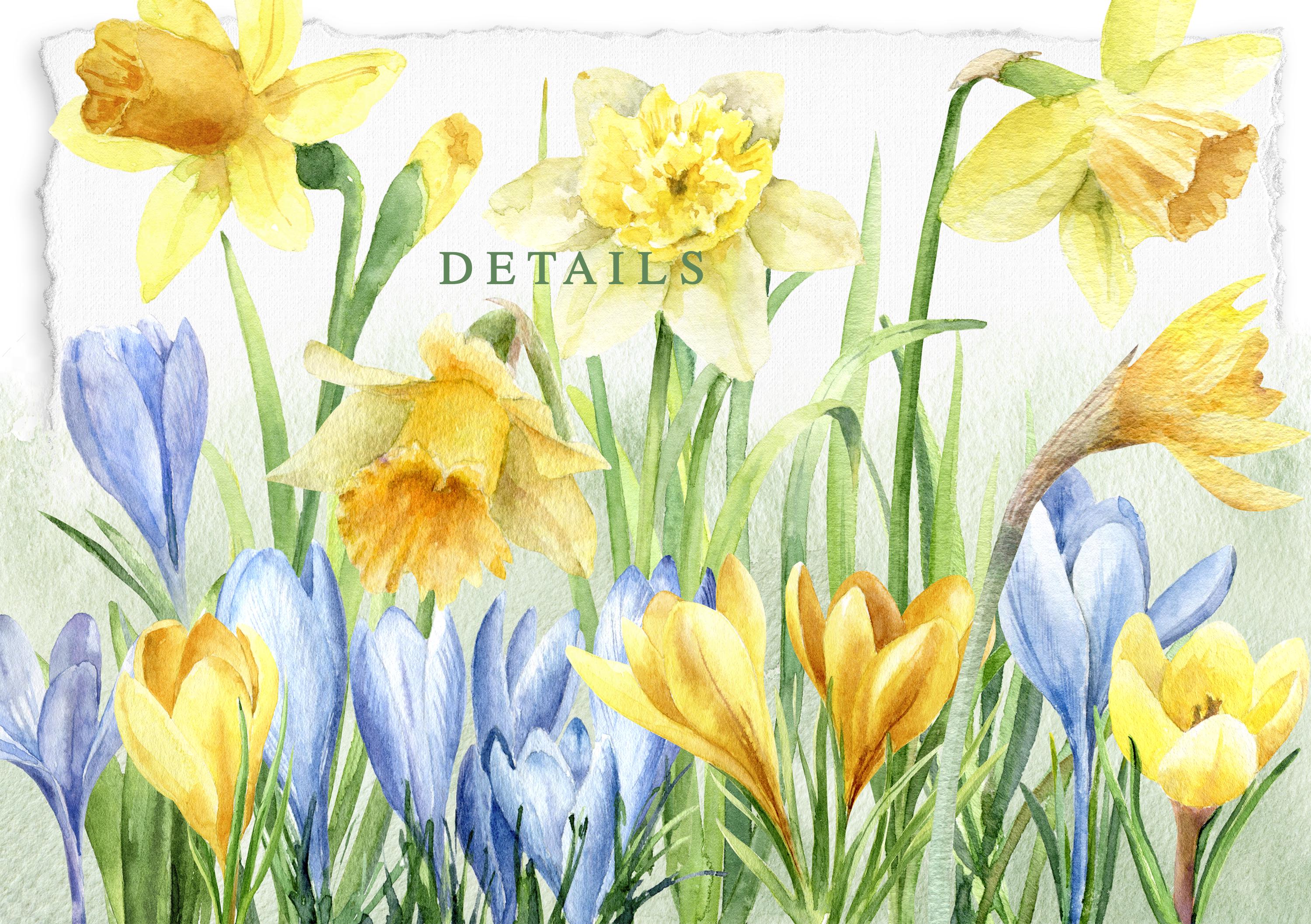Watercolor Spring Flowers Clipart, Daffodils Clipart, Floral Border ...