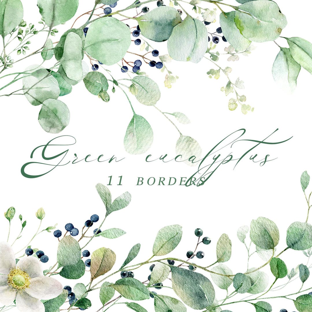 Watercolor Greenery Borders Clipart, Eucalyptus Graphic Png ...