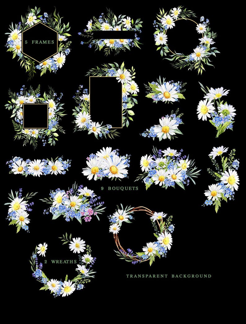 Watercolor Wildflower Clipart, White Daisy Clipart, Floral Frame Png, Watercolor Flowers, Forget ...