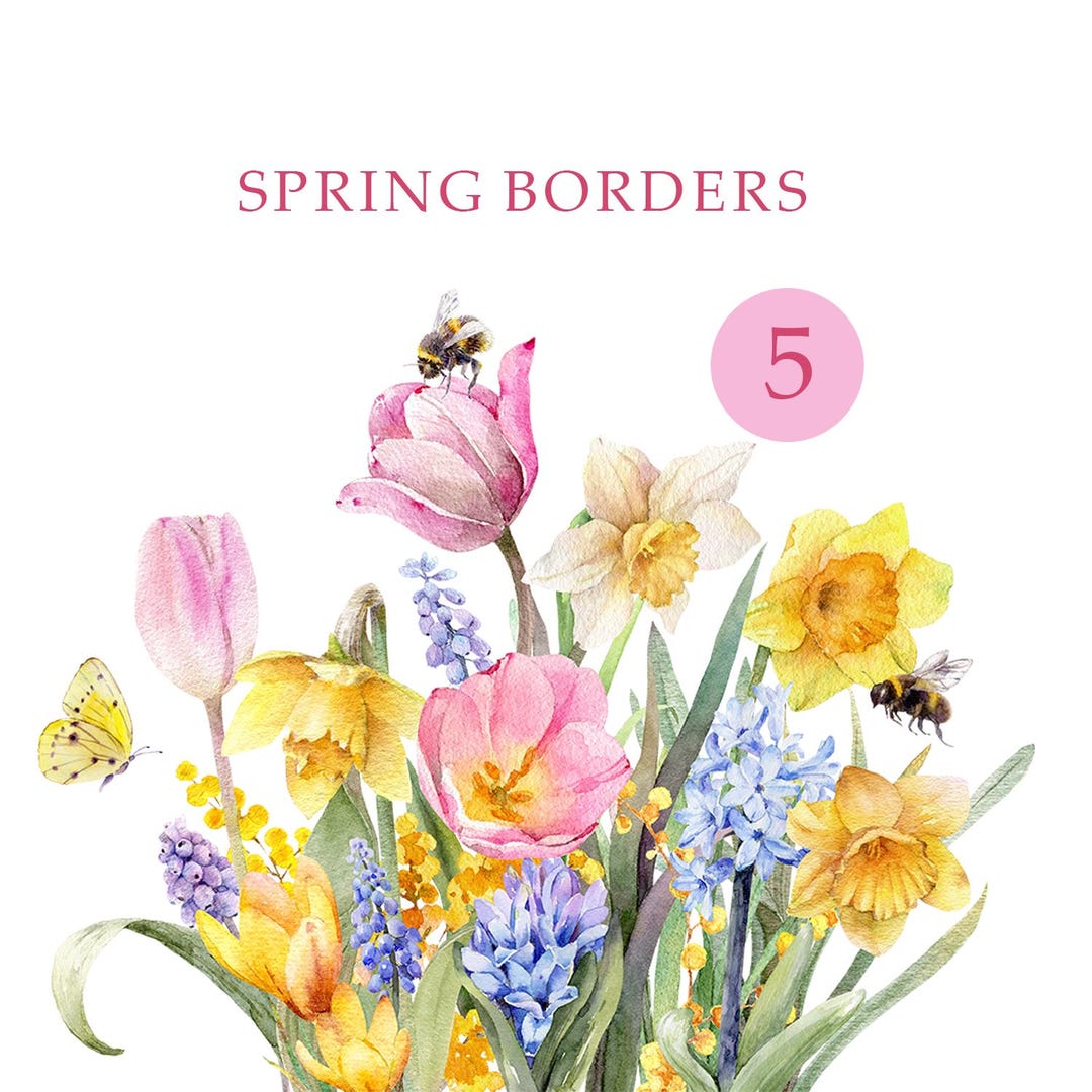 Watercolor Spring Flowers Clipart, Spring Floral Border, Hyacinth Clip ...