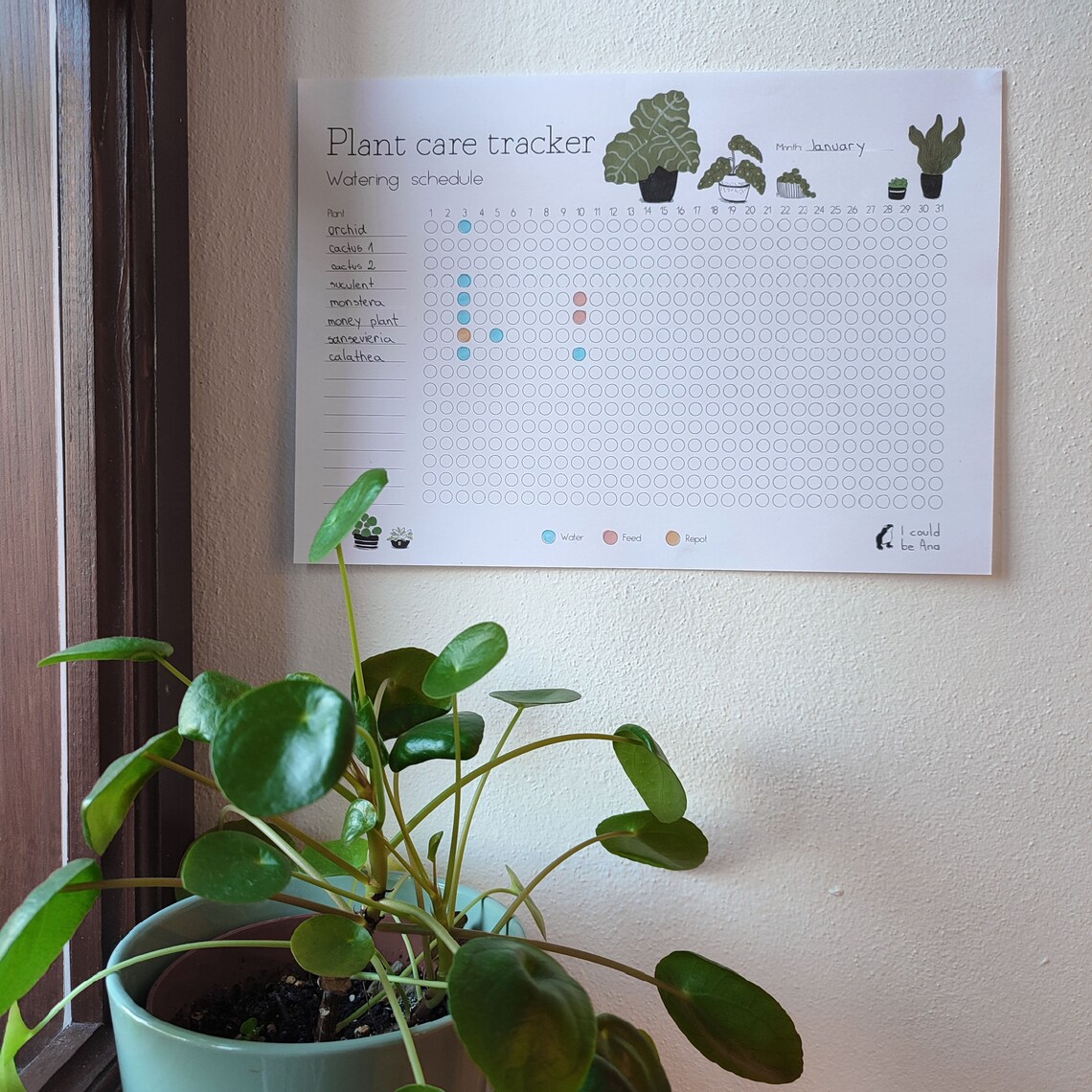 Plant Care Tracker / Printable Plant Watering Planner / Plant Care ...
