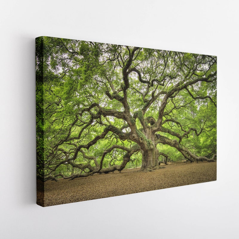 Angel Oak - Etsy
