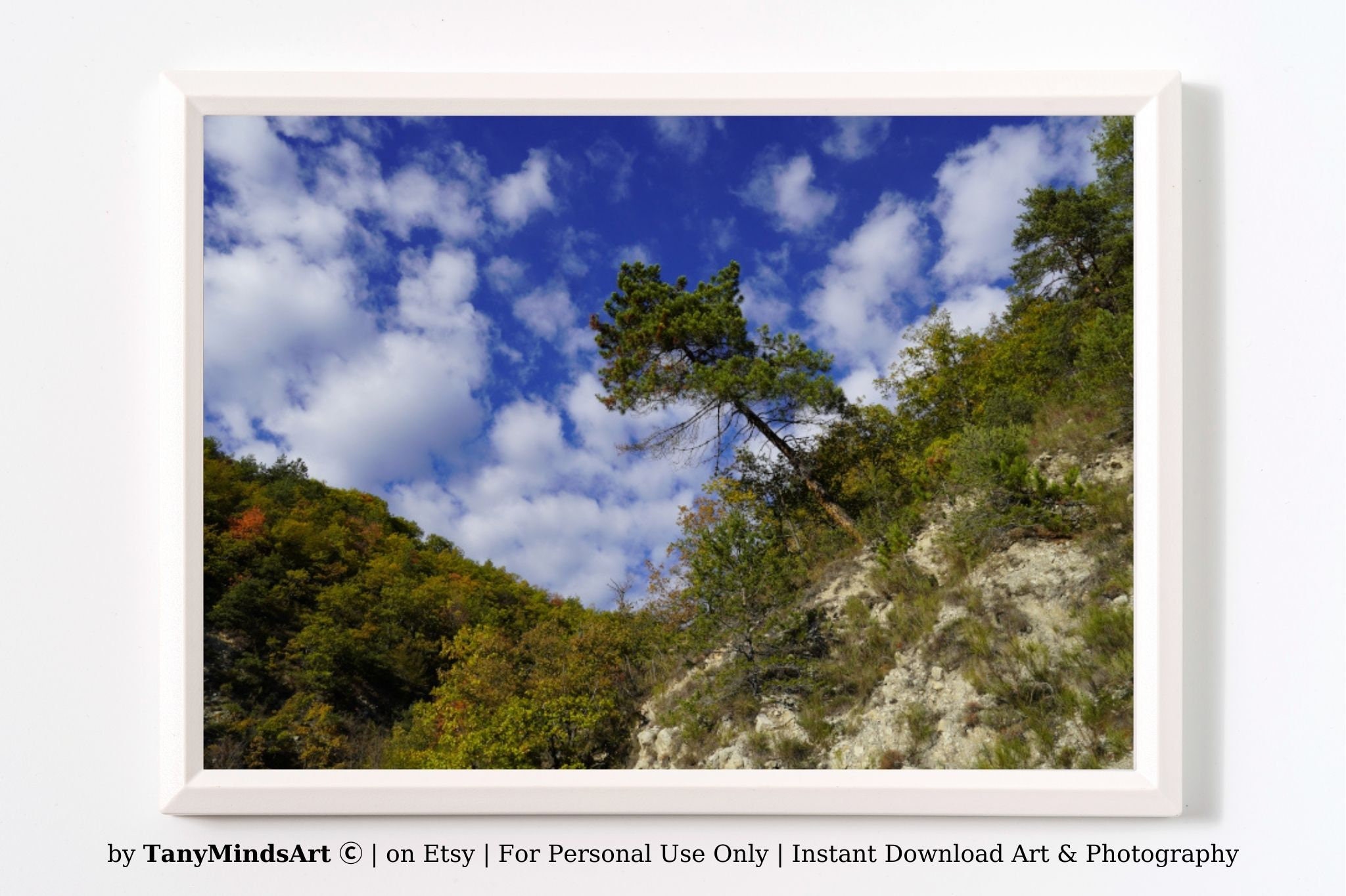 Sloping Tree Photography | Printable Digital Download | Mountain Wall ...