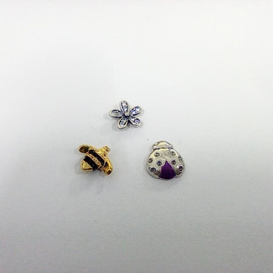 Pandora S.silver Bee Ladybug Flowers Petite Floating Locket Charms Set ...