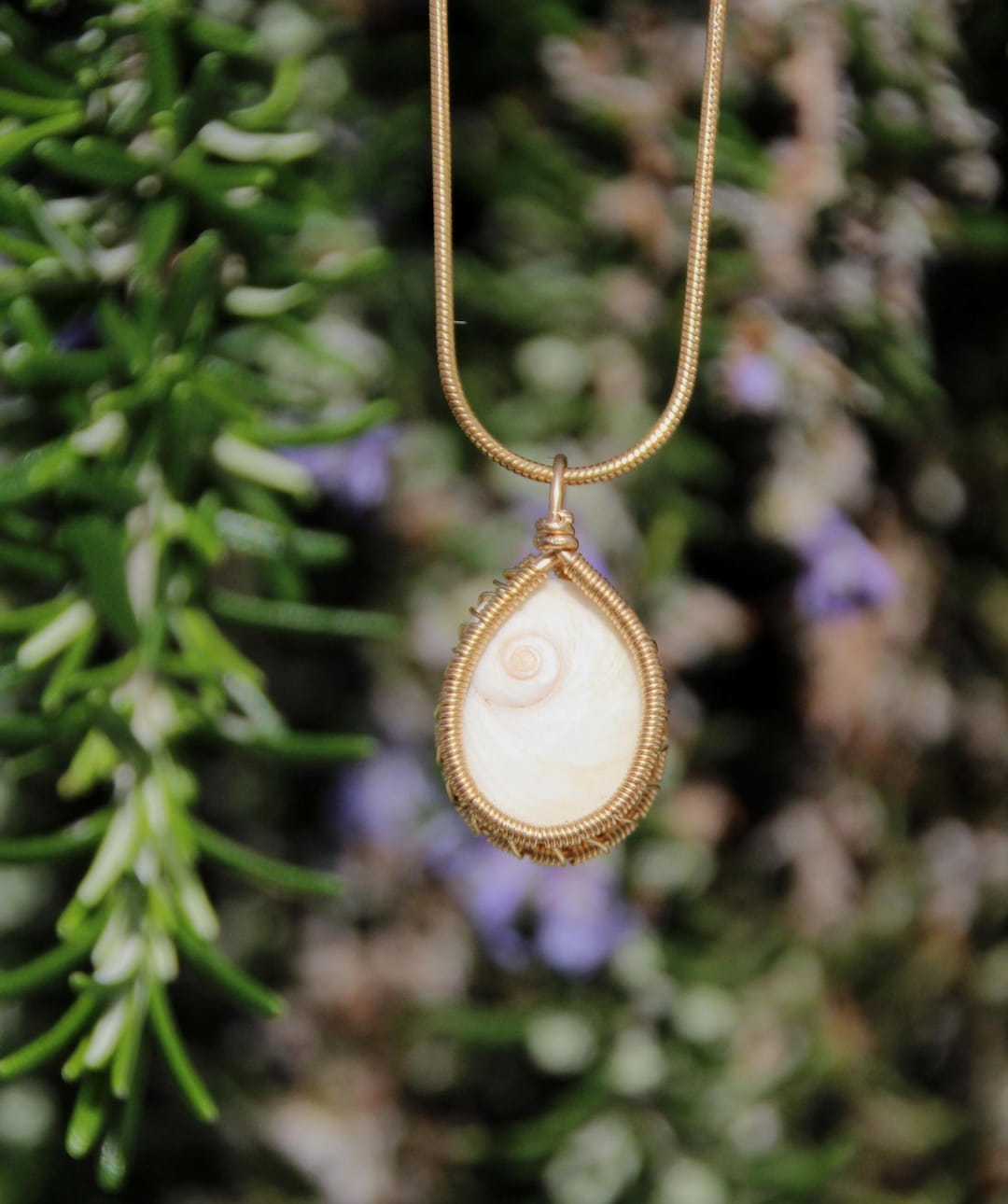 Shiva Eye Operculum Shell Pendant - White Orange Hand-set in 14k Gold ...