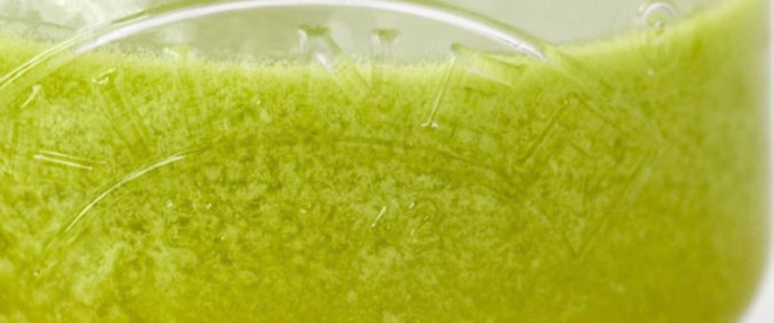 Scallion Oil Sauce - Etsy