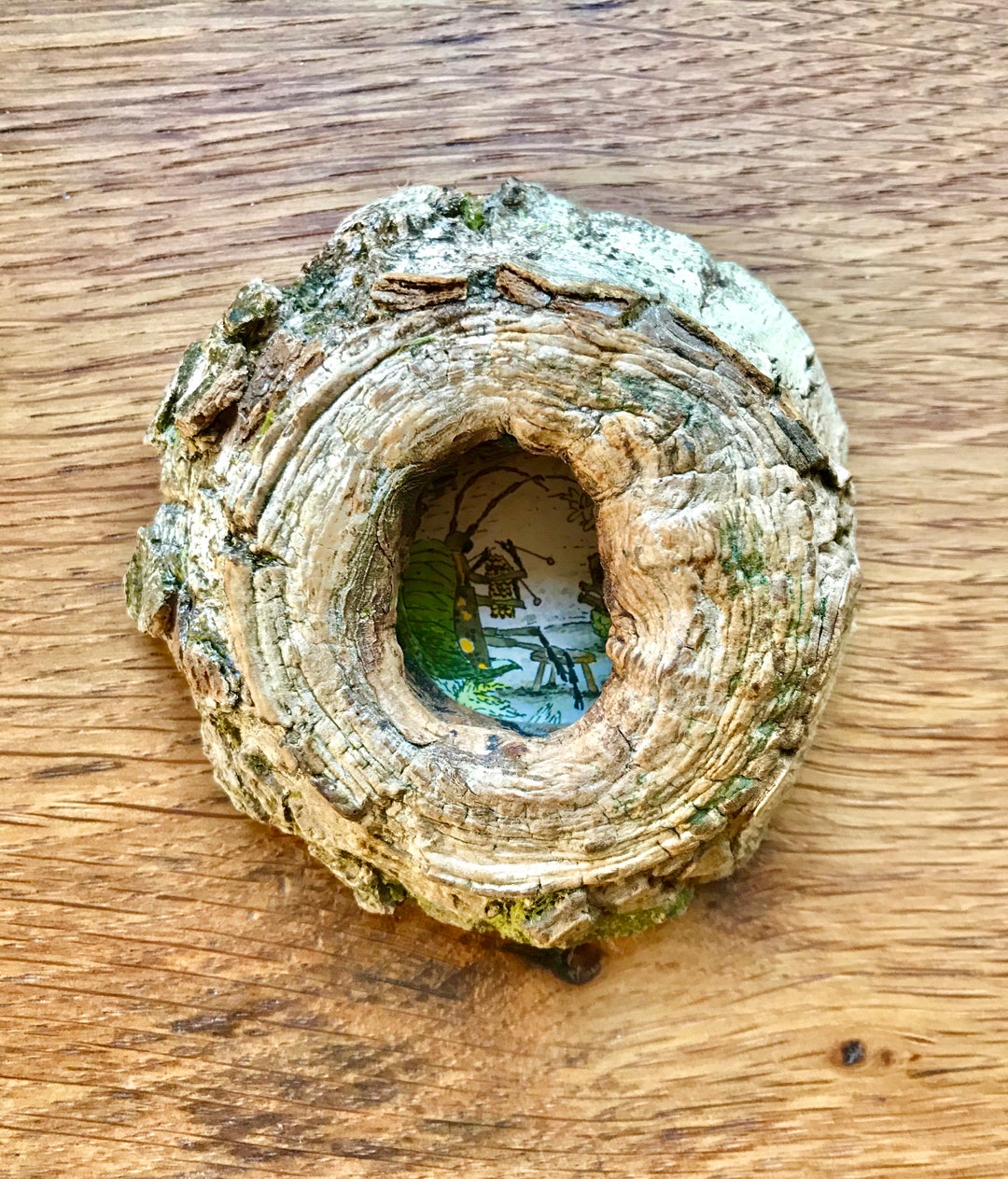 Tiny Homes of Little Creatures in Tree Hollows Original Hand - Etsy