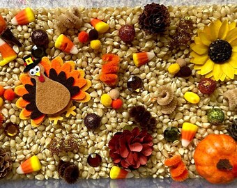 Halloween Sensory Bin, Fall Sensory Kit, Halloween Activity for Kids ...