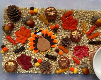 Thanksgiving Sensory Bin,autumn Harvest Sensory Bin, Fall Sensory Kit ...