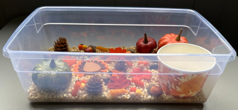 Thanksgiving Sensory Bin,autumn Harvest Sensory Bin, Fall Sensory Kit ...