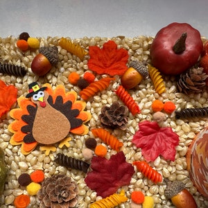 Thanksgiving Sensory Bin,autumn Harvest Sensory Bin, Fall Sensory Kit ...