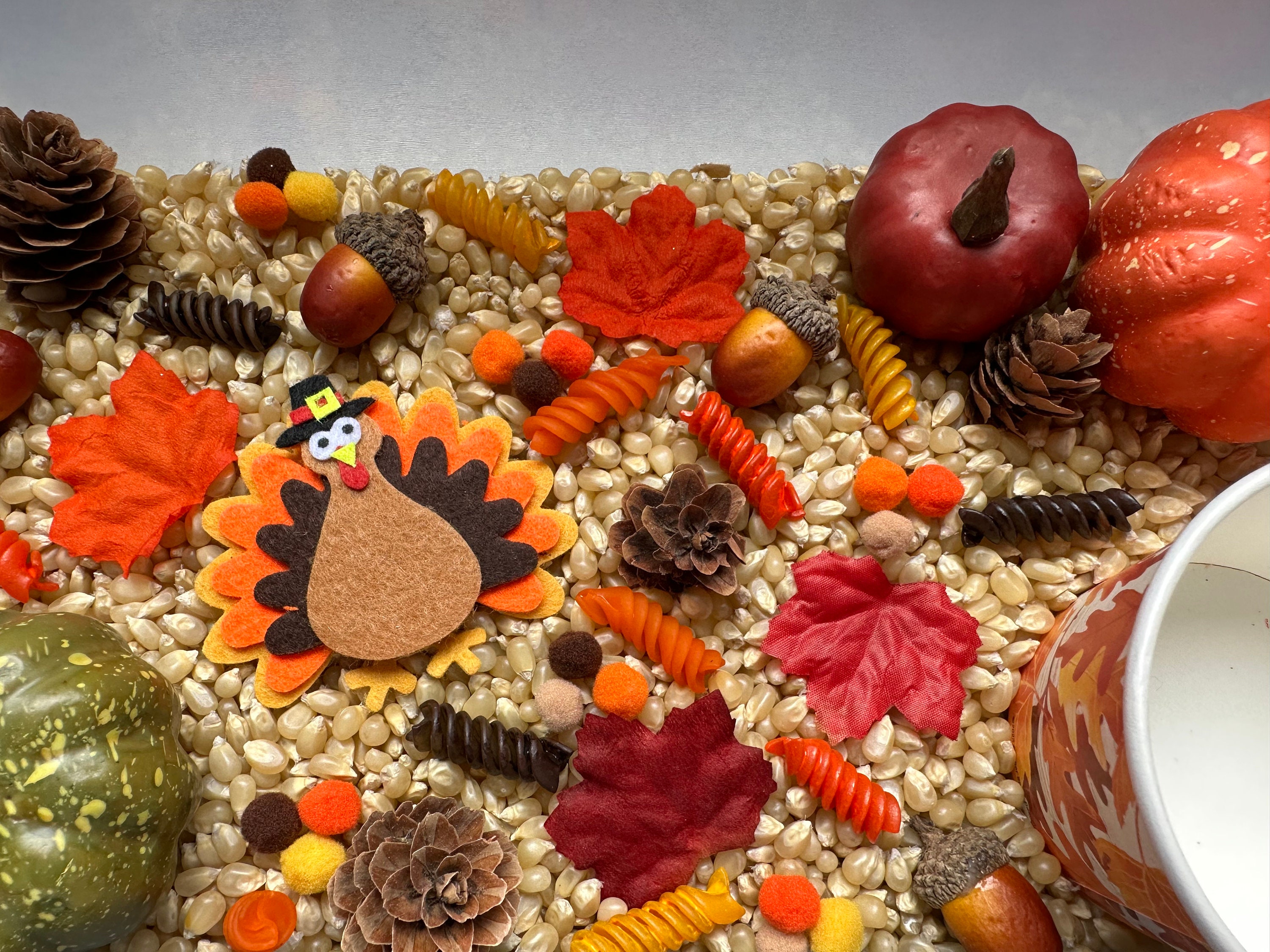 Thanksgiving Sensory Bin,autumn Harvest Sensory Bin, Fall Sensory Kit ...