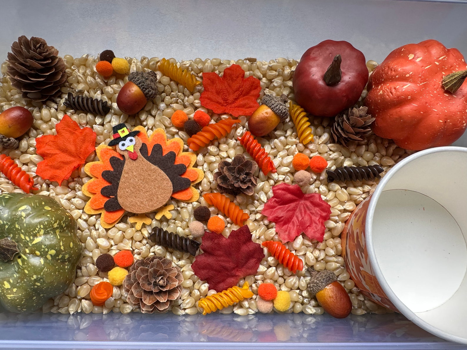 Thanksgiving Sensory Bin,autumn Harvest Sensory Bin, Fall Sensory Kit ...
