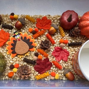 Thanksgiving Sensory Bin,autumn Harvest Sensory Bin, Fall Sensory Kit ...