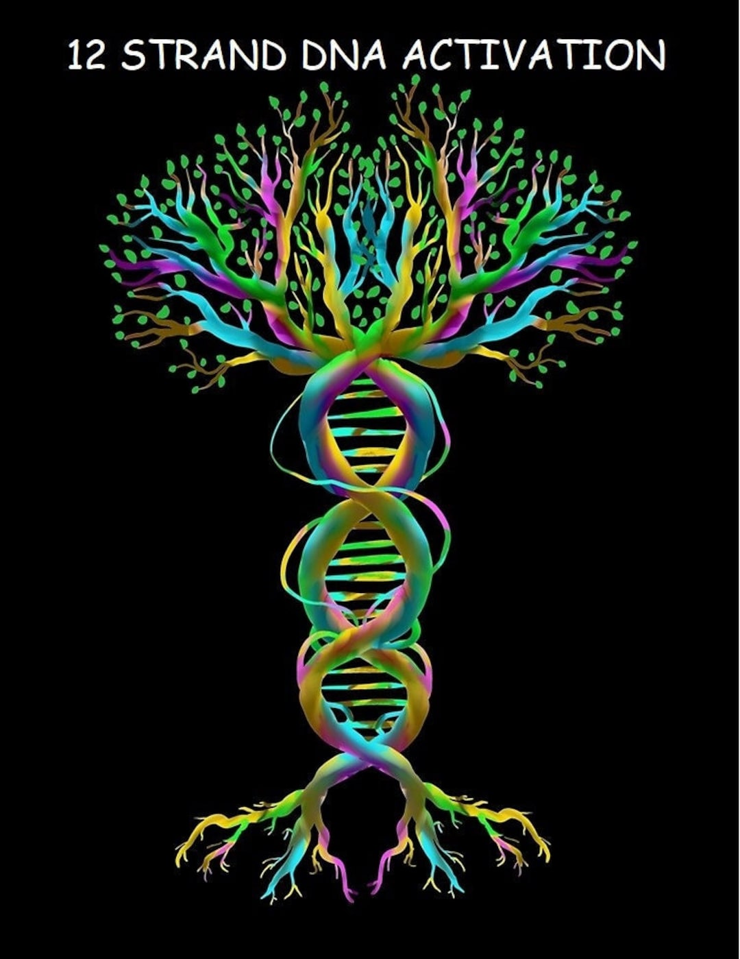 12 Strand DNA Activation crystalline Light DNA Activation - Etsy