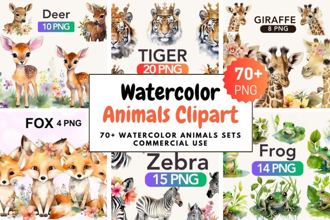 70 Png Watercolor Animals Clipart Bundle, Watercolor Floral Zebra ...