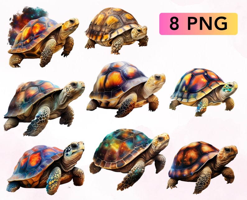 Watercolor Turtle Clipart Turtle Png Baby Turtle Clipart - Etsy