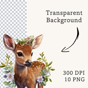 Watercolor Deer, Baby Deer Clipart, Watercolor Little Animals, Cute ...