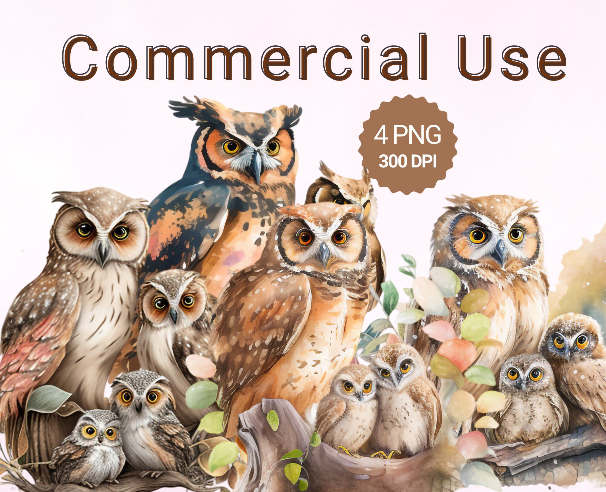 Watercolor Owl Clipart Bundle Owl Png Fantasy Owl - Etsy