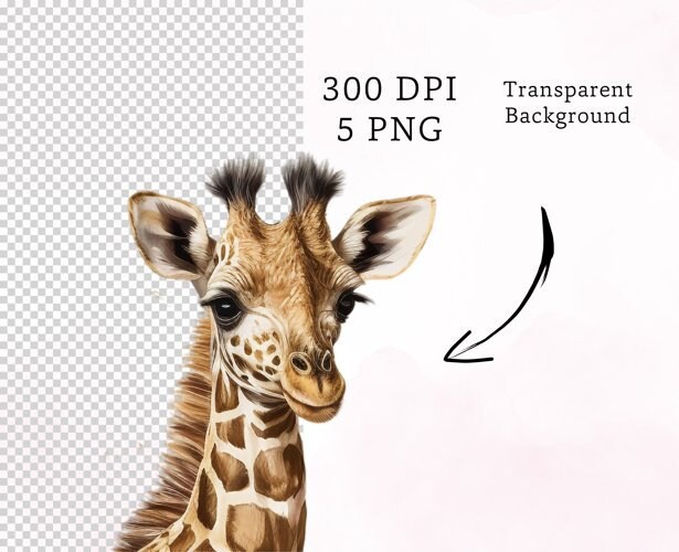 70 Png Watercolor Animals Clipart Bundle Watercolor Floral - Etsy