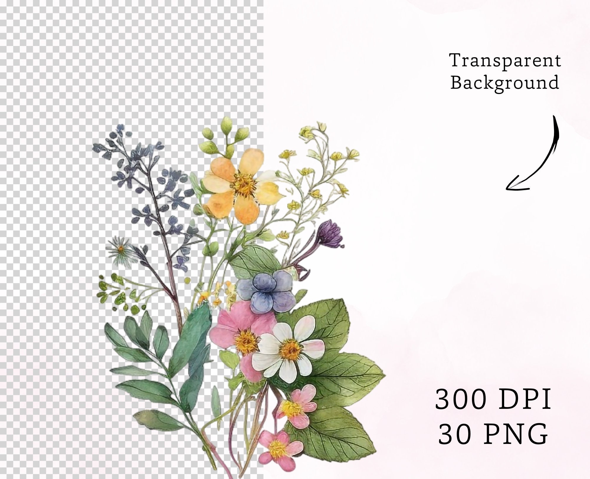30 Png Watercolor Spring Flower Clipart Bundle Flower Clip - Etsy