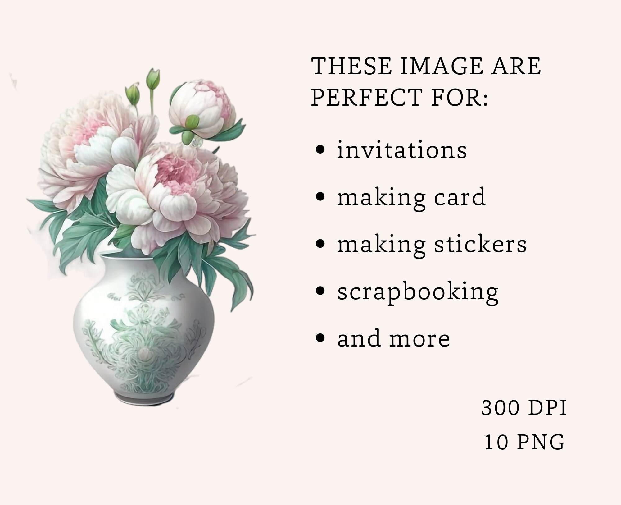 Watercolor Peonies Clipart, Floral Clipart, Peonies Bundle PNG, Clipart ...