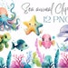 Sea Animal Clipart Fish Clipart Dolphin Clipart Watercolor - Etsy