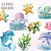 Sea Animal Clipart, Fish Clipart, Dolphin Clipart, Watercolor Fish ...