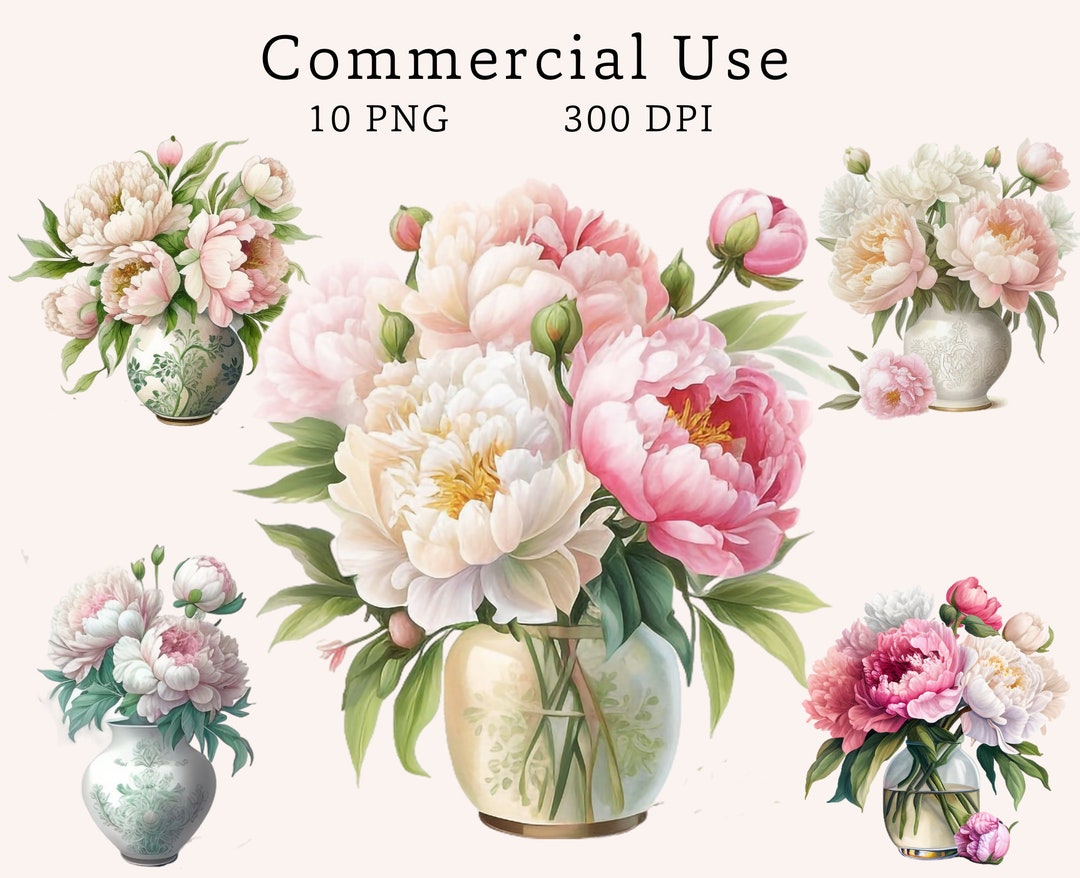 Watercolor Peonies Clipart, Floral Clipart, Peonies Bundle PNG, Clipart ...