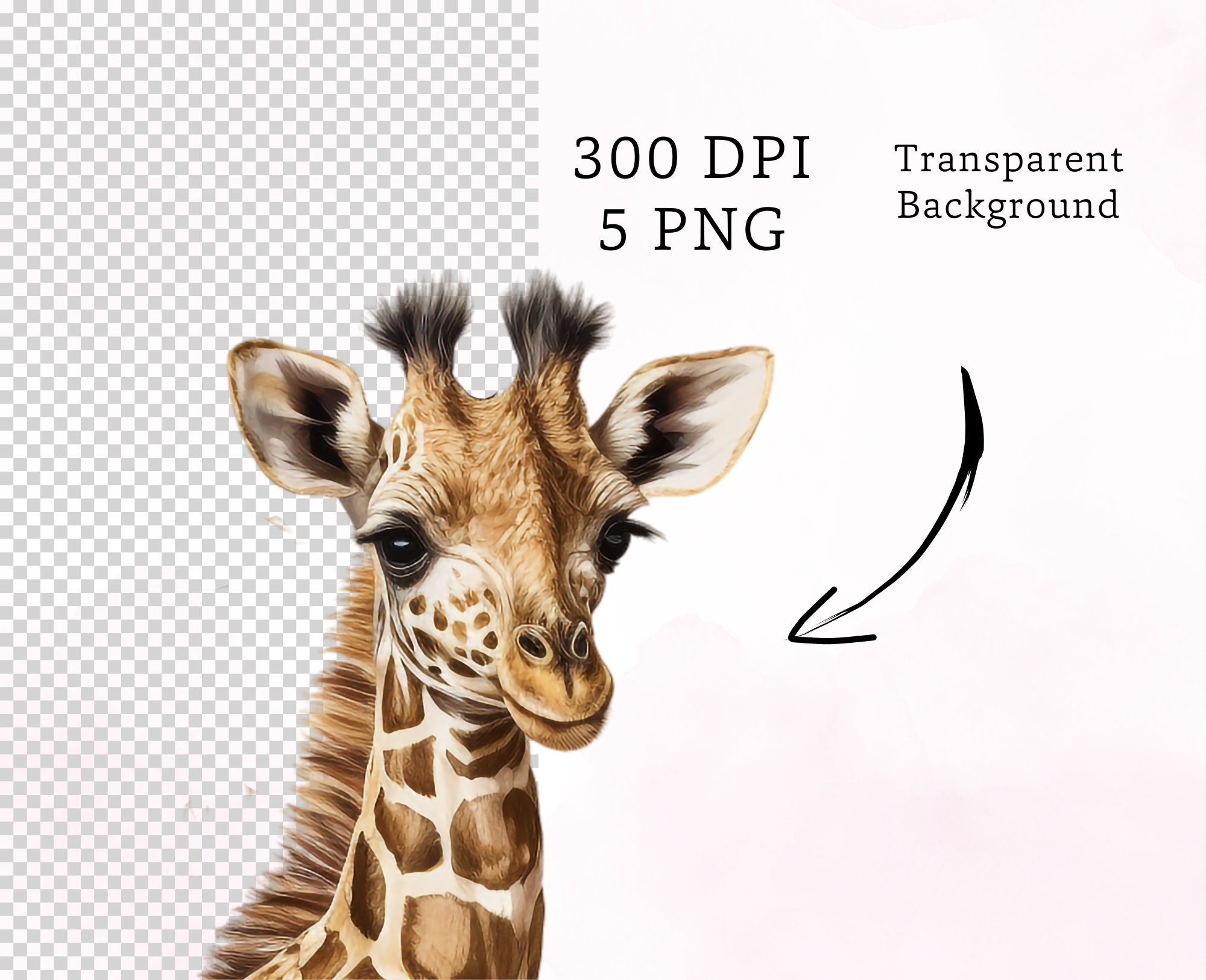 Giraffe Watercolor Clipart Cute Baby Shower Graphics African - Etsy