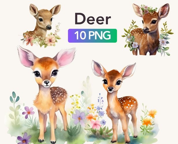 70 Png Watercolor Animals Clipart Bundle Watercolor Floral - Etsy