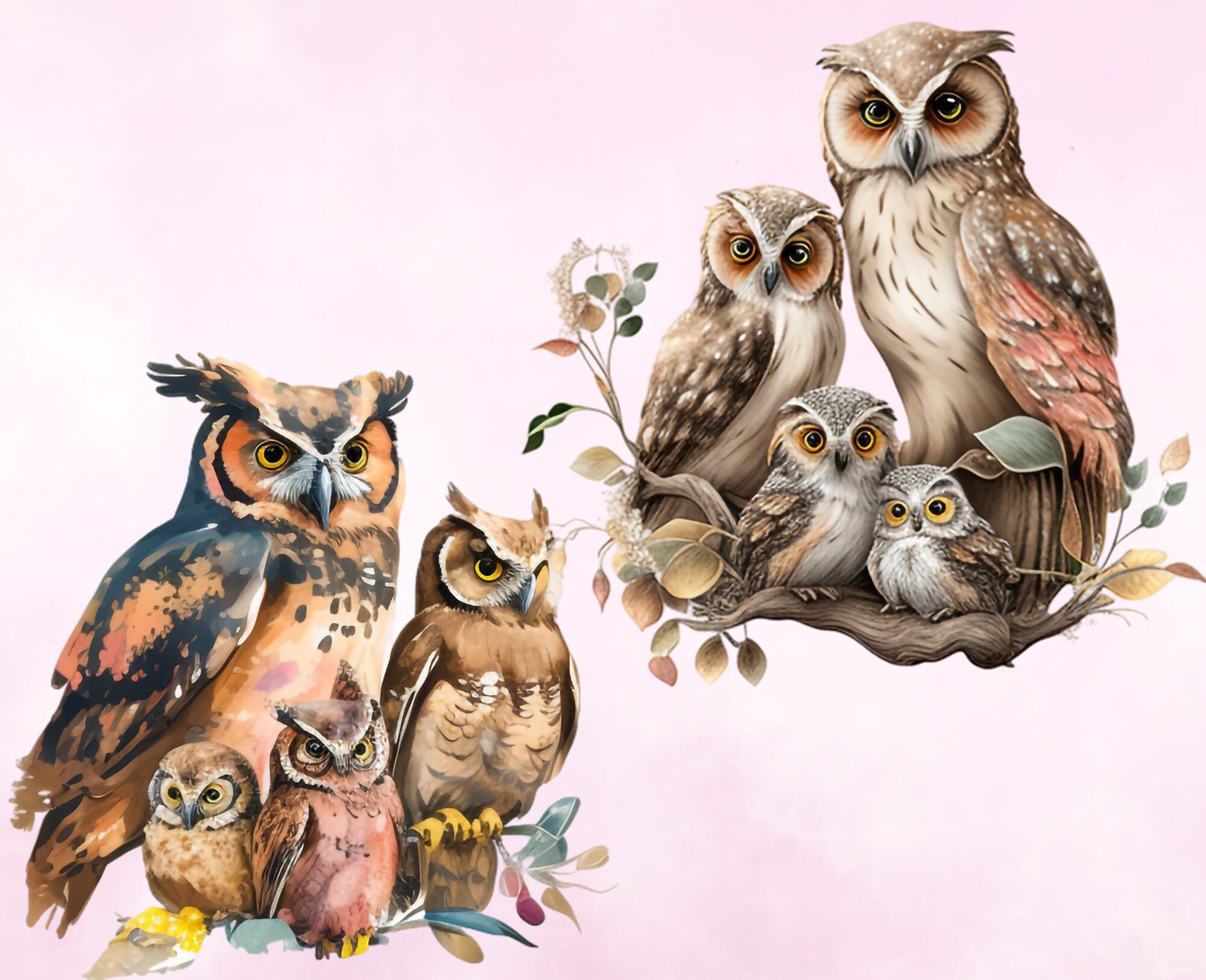 Watercolor Owl Clipart Bundle Owl Png Fantasy Owl - Etsy